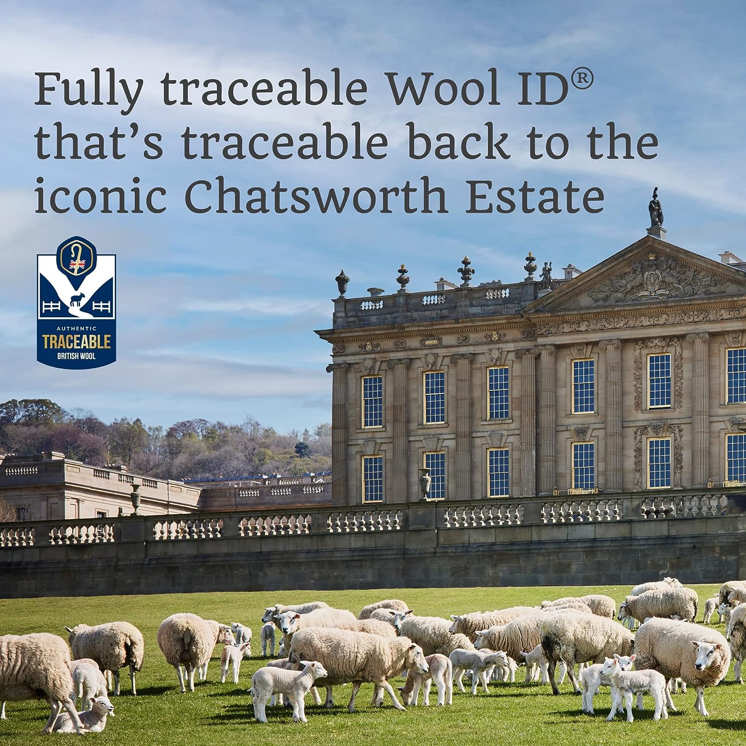 Deluxe 100% British Wool Mattress Protector | Wool Room